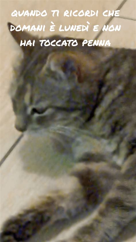 Meme Assurdi Rbrawlstars