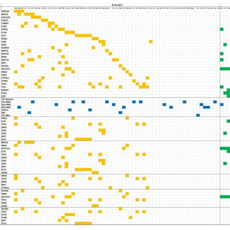 Gene Mutation Map For Acute Lymphoblastic Leukemia The Horizontal