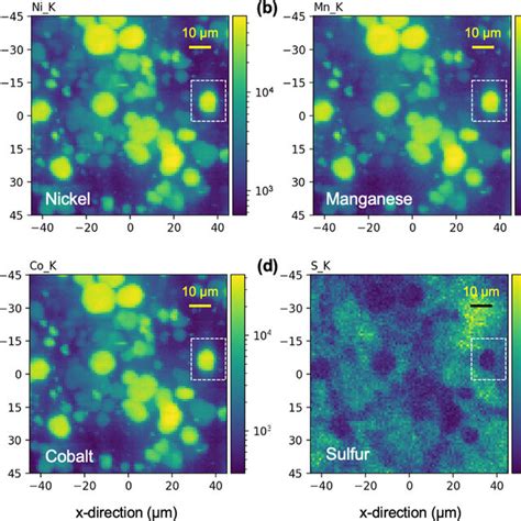 X Ray Fluorescence Xrf Mapping Of Co Used To Demonstrate Relative Download Scientific Diagram