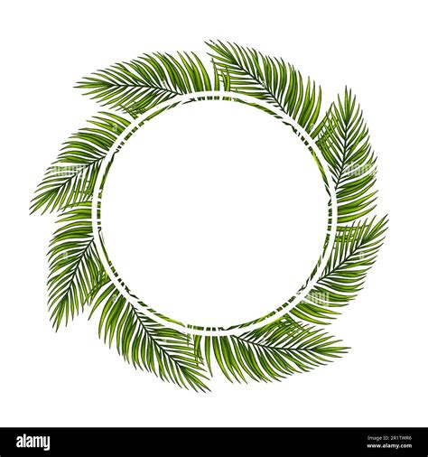 Round Template For Text With Tropical Palm Leaves Tropic Leaf Wreath