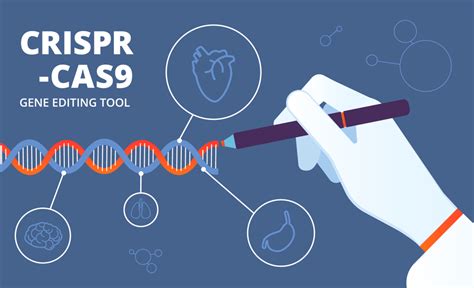 What Is Crispr And How Does It Work Crispr Cas9 Gene Editing