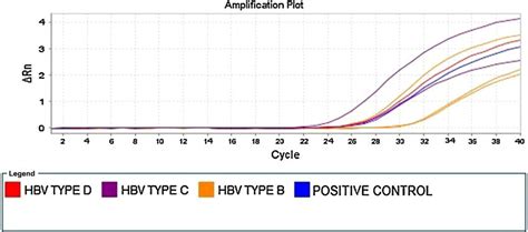 Gene Typing Of Different Amplification Plots Download Scientific Diagram