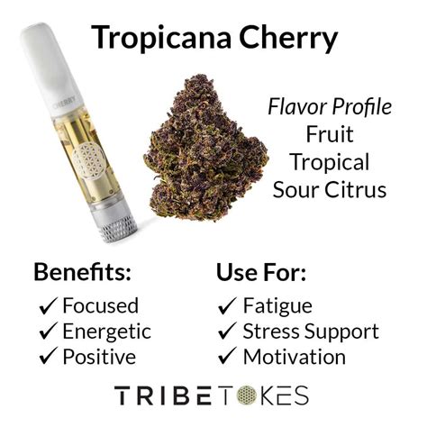 Shop Weed Vape Carts Delta 8 Cbd Thca And Live Resin Tribetokes