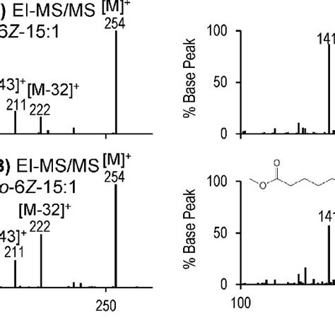 Ei Ms Ms Spectra Of Isomeric 6z 15 1 And Isomeric 6z 16 1 Fame A