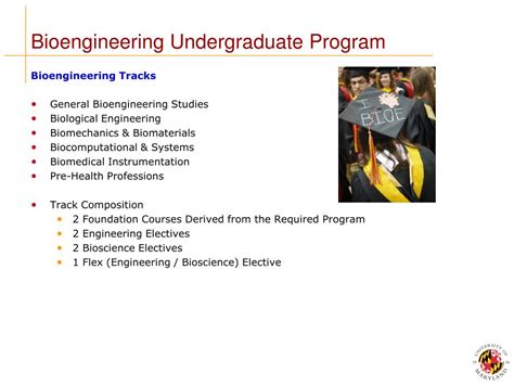 Ppt Comprehensive Bioengineering Program Umd Bioe Undergraduate