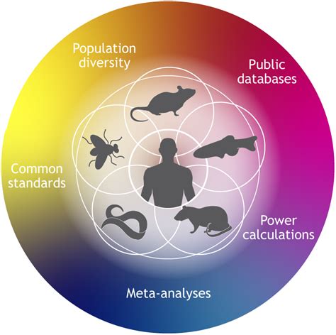 The Future Of Model Organism Research The Node