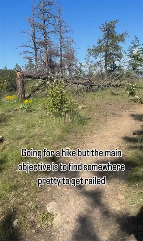 Meme Dump 652 Cock Seasoning Album On Imgur