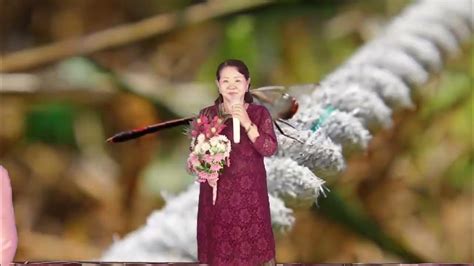 울산아리랑 Youtube