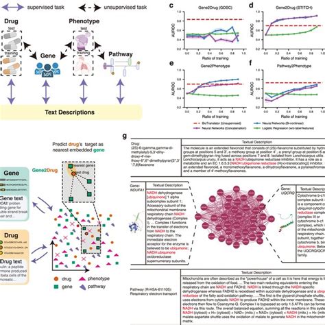 Biotranslator Overview A Biotranslator Takes A User Written Text As