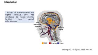 Cd98hc Is A Target For Brain Delivery Of Pptx