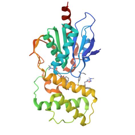 Rcsb Pdb 8try Crystal Structure Of Mtb Pks13 Thioesterase Domain In