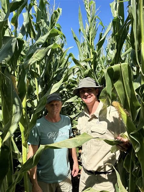 Elissa Van Loggenberg Posted On Linkedin