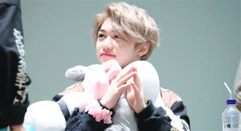 Felix Pc Wallpapers Wallpaper Cave