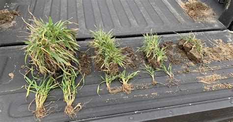 The Agronomists Ep 123 When Wheat Needs Nitrogen With Brunel Sabourin