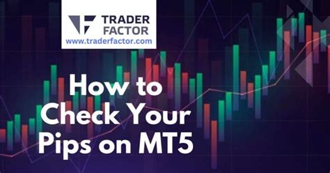 How To Check Your Pips On Mt5