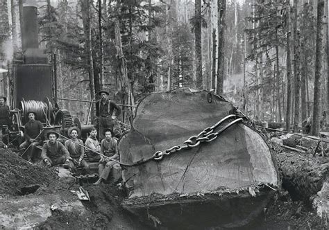 Forester Remembers Growing Up On Rayonier Railroad Camp Rayonier Stories