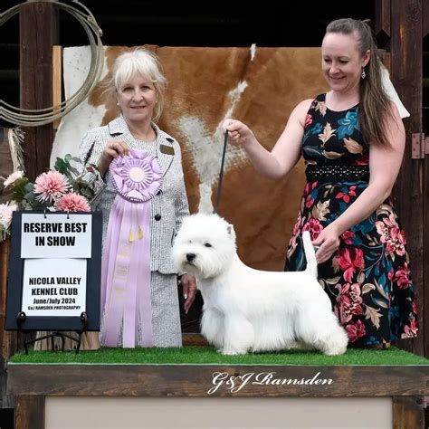 Fun Windacre Kennels Puppies Award Winning Pedigrees