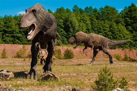 Theres A New Hypothesis For T Rexs Small Arms