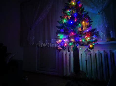 Christmas Tree Lights In Dark Stock Image Image Of Lighting Dark