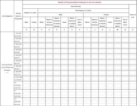 Eeo 1 Report Template Atlantaauctionco For Eeo 1 Report Template
