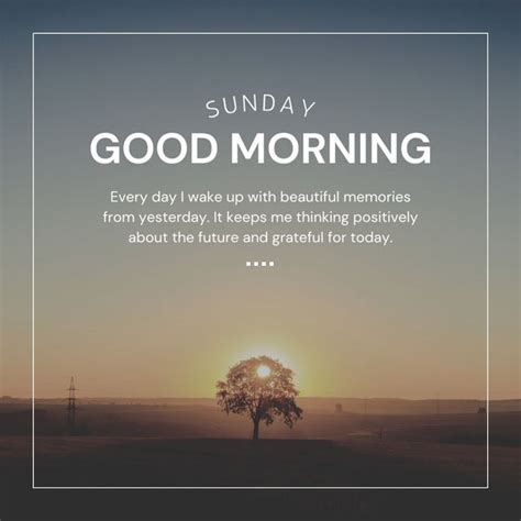 Good Morning Images Quotes Greetings Text 2023 Viraasi