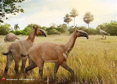 Macrauchenia Sixth Extinction Wiki Fandom