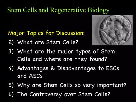 Stem Cells Background Ppt