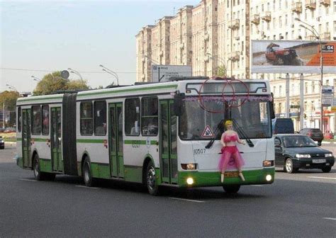 Sex Bus Rofficeguypubmemestash