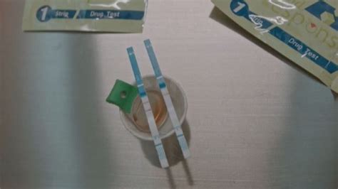 Xilacina Los Expertos Explican Qué Es Y Cómo Actúa Una De Las