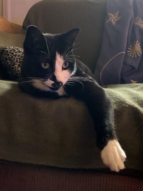 Mickey Saw All Of Your Likes And Decided To Give Us An Extra Dangle R