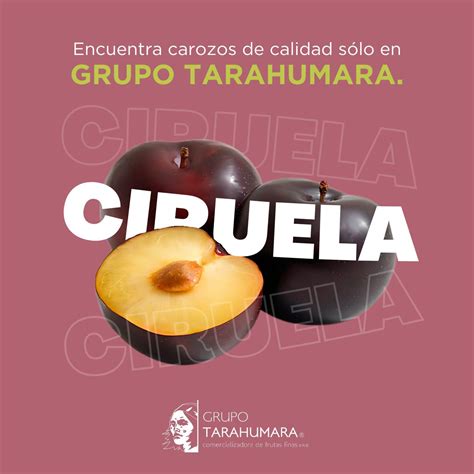 La Grupo Tarahumara Comercializadora De Frutas Finas