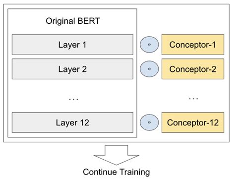 Conceptor Intervened Bert Ci Bert Each Layer Of The Model Takes The Download Scientific