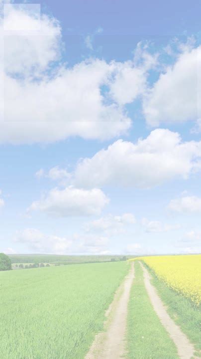 [video] Mckinsey Data Analytic On Linkedin From Field To Fork Data