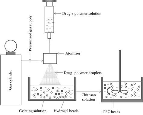 3 Schematic Diagram Showing Spray Atomization Provision For The