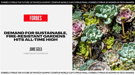 Demand For Sustainable Fire Resistant Gardens Hits All Time High The