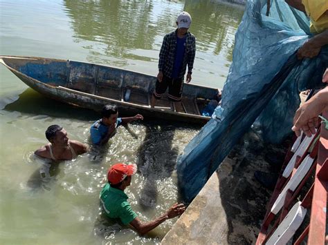 လယ်ဝေးမြို့ ဖောင်တော်ချက်မစေတီတော်မြတ်ကြီး၏ မင်္ဂလာကန်တော်အတွင်းရှိ