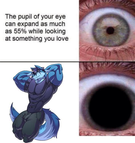 Werewolf Irl R Furry Irl