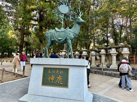 【奈良】春日大社の可愛過ぎる「鹿みくじ」で運試し！ ますおの全国グルメ旅