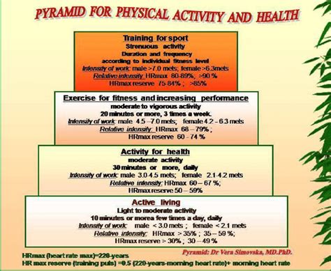 Pyramid Physical Activity And Health Download Scientific Diagram