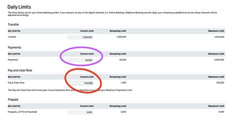 How Do I Change My FNB Payment Limit Stitch