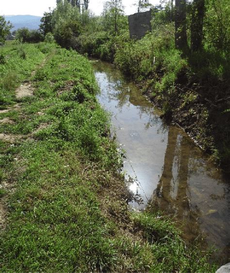 Nerodime Nerodimka River At River Bifurcation Loc 56 Download Scientific Diagram