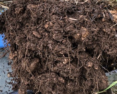 Standard Soil Tests Hill Court Farm Research