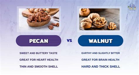Pecan Vs Walnut Two Nutrition Powerhouses Which Is Healthier
