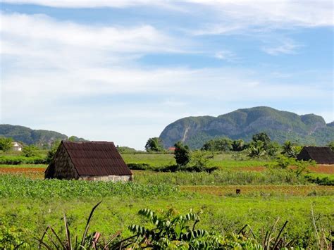 Cuba Campo Touristsecrets