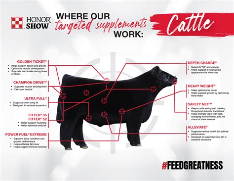 Purina High Octane Supplements For Show Cattle — Rockingham Cooperative