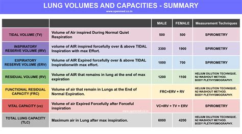 Spirometry Volumes At Lester Shippy Blog