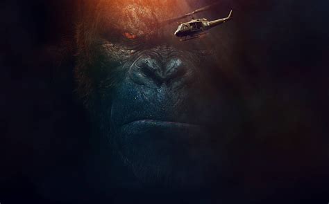 Download Fun Times With A Cool Gorilla Wallpaper