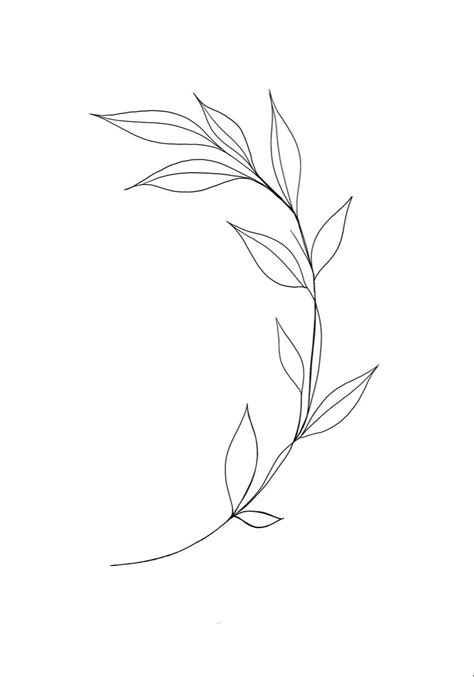 Eichenblatt Tattoos Eichenblatt Tattoos Illustrationen Und