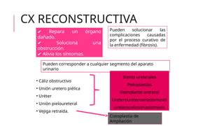 Tuberculosis Urogenital Presentacion Pptx