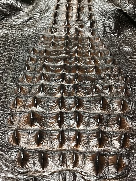 Hornback Alligator Skins